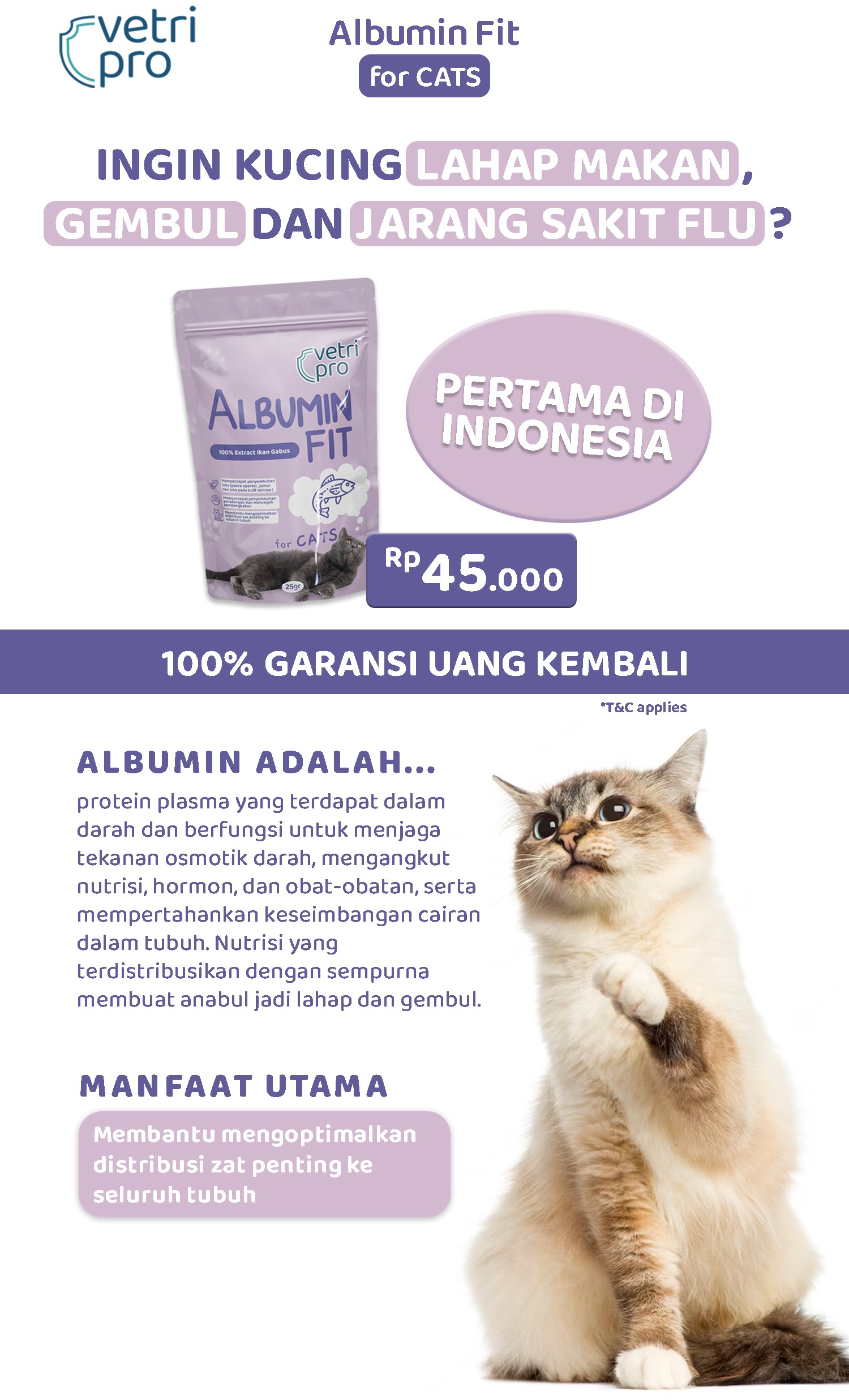 albumin – 100% Organic for Pet